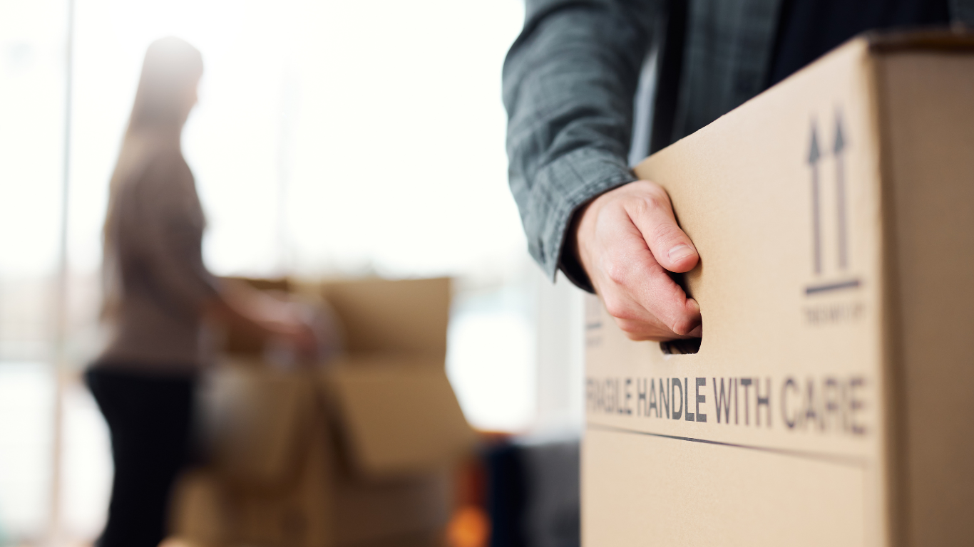 Nosotros | TLE Distribution